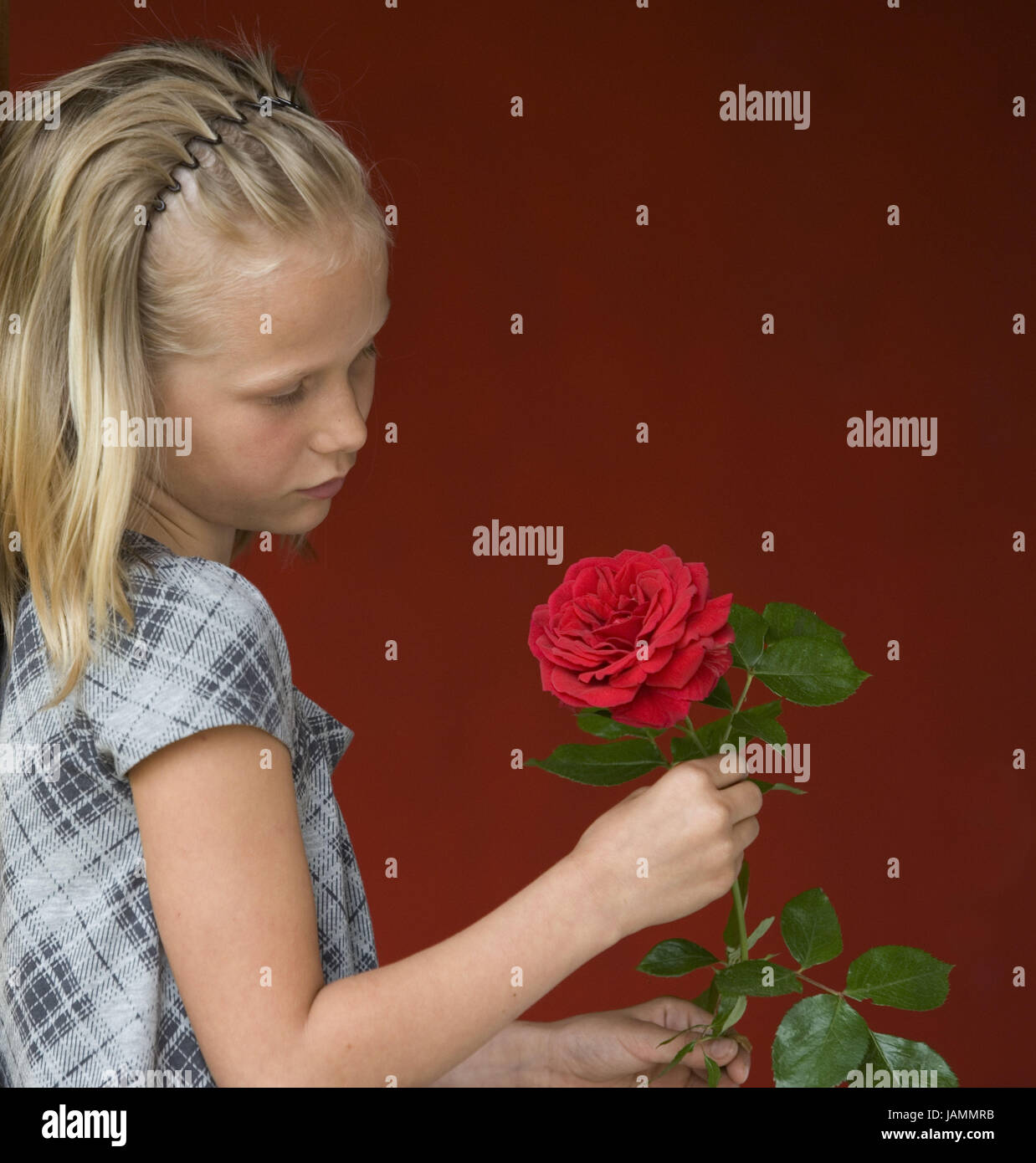 Rose for girls hi-res stock photography and images - Alamy