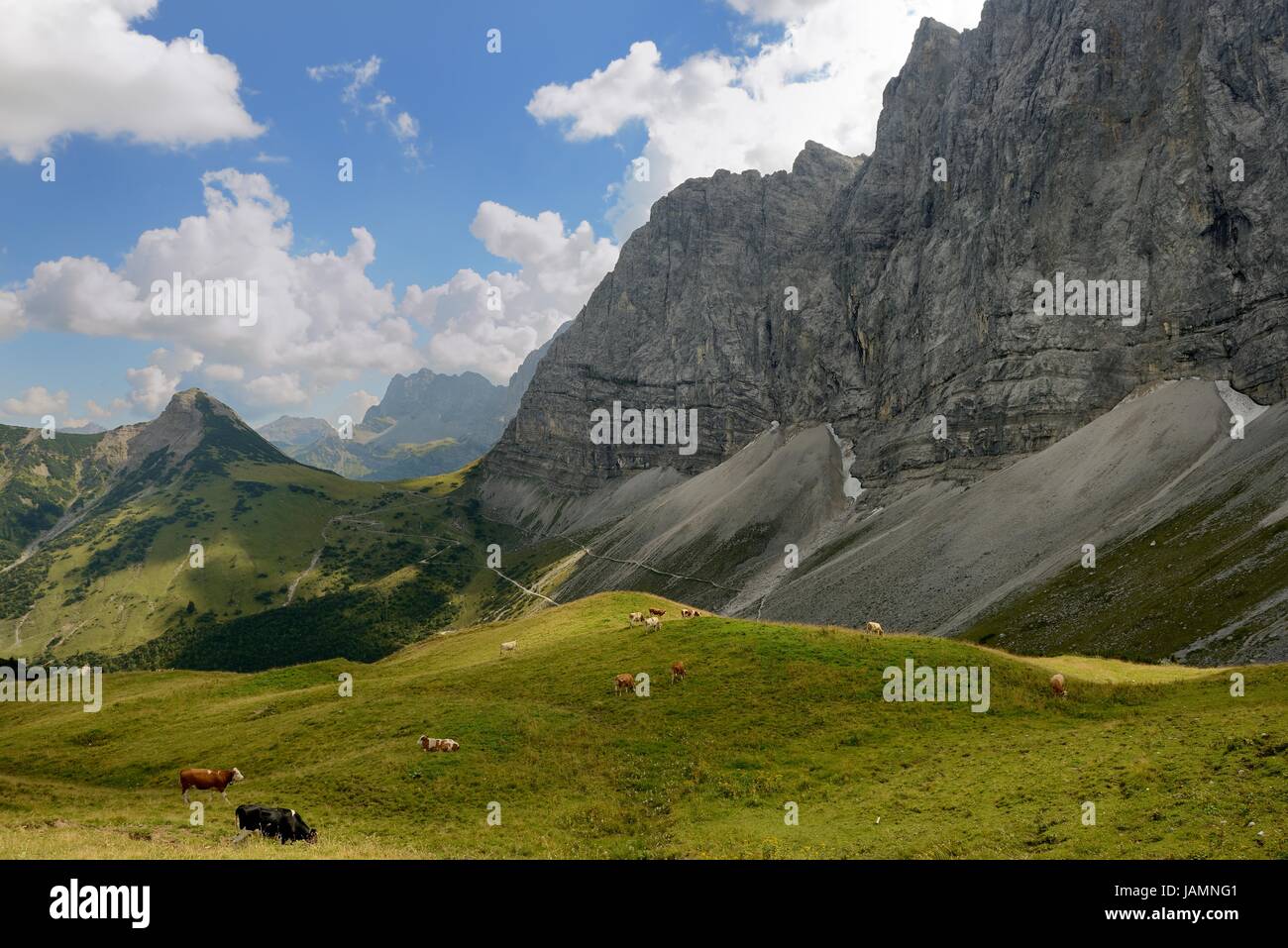 multifarious richly coloured Stock Photo - Alamy