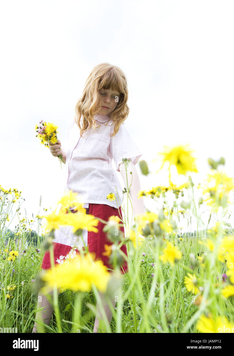 Girls,flower meadow,flowers pick Stock Photo - Alamy
