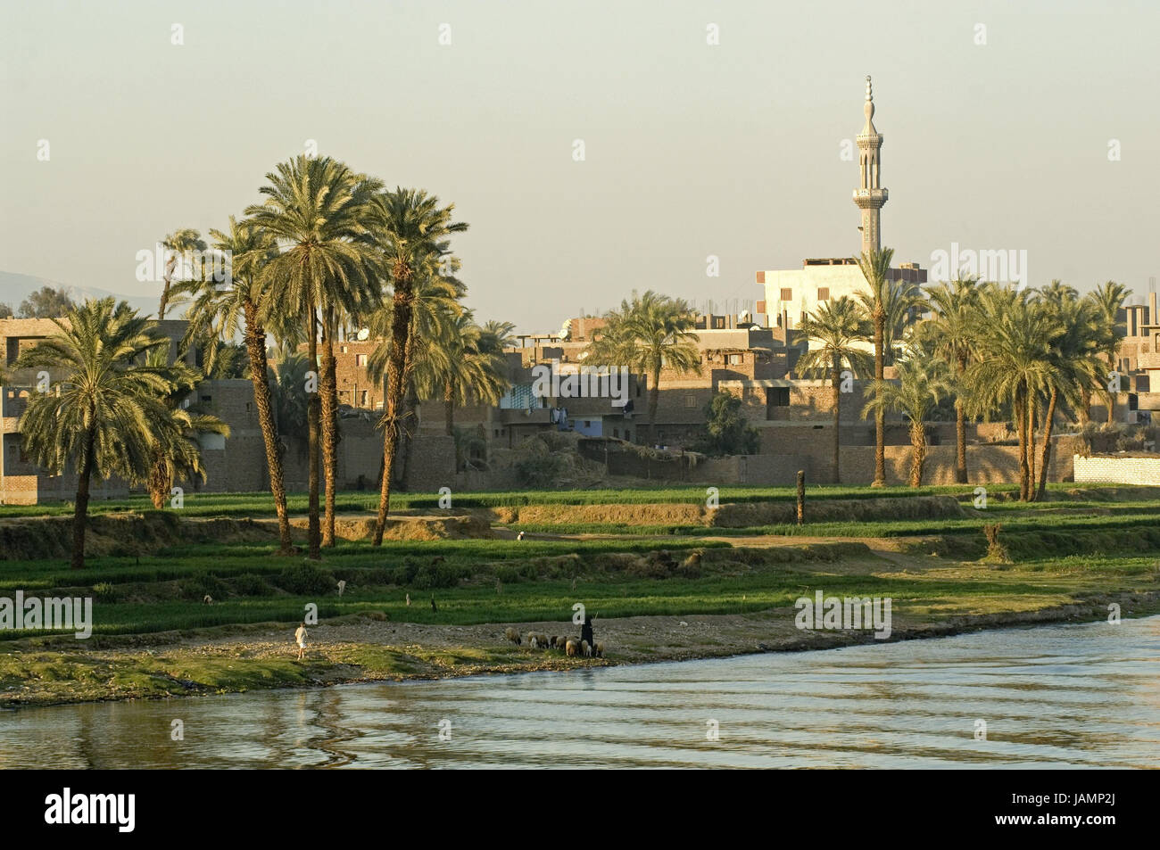 Egypt,Nile valley,the Nile,riverside,town view,evening light Stock ...