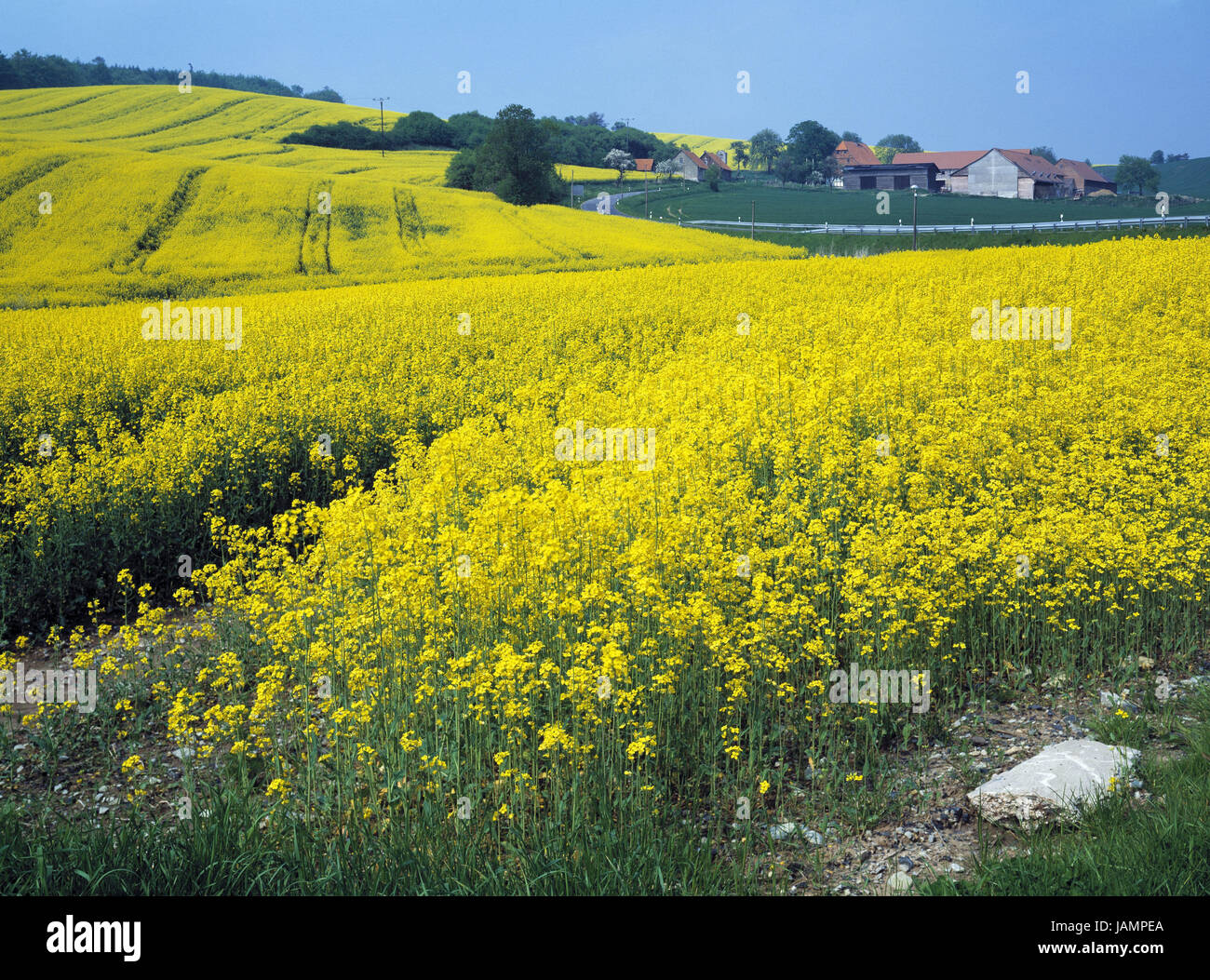 Germany,Eschwege,Hessian mountainous country,Hessen,spring scenery,rape field,Eschwege ...