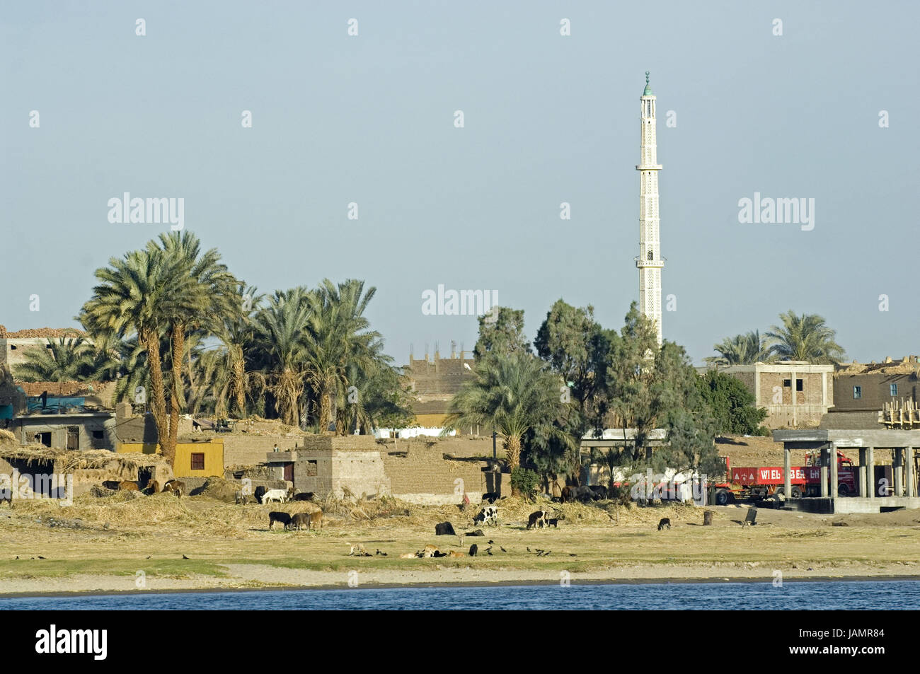 Nile river egypt animals hi-res stock photography and images - Alamy