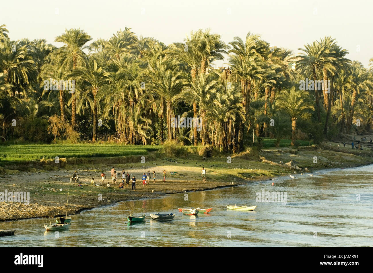 Egypt,Nile valley,the Nile,riverside,person,palms Stock Photo - Alamy