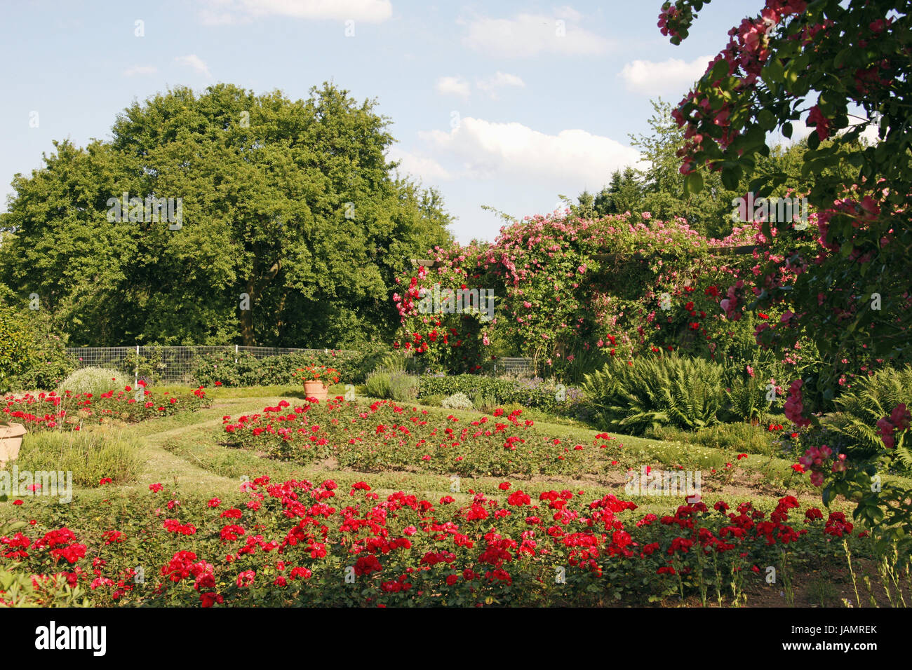 Germany,Hessen,Darmstadt,rose height,Rosarium,flowerbeds,town,place of ...