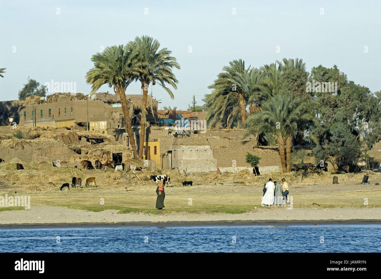 Egypt,Nile valley,the Nile,riverside,village,cortexes,donkeys,men Stock ...