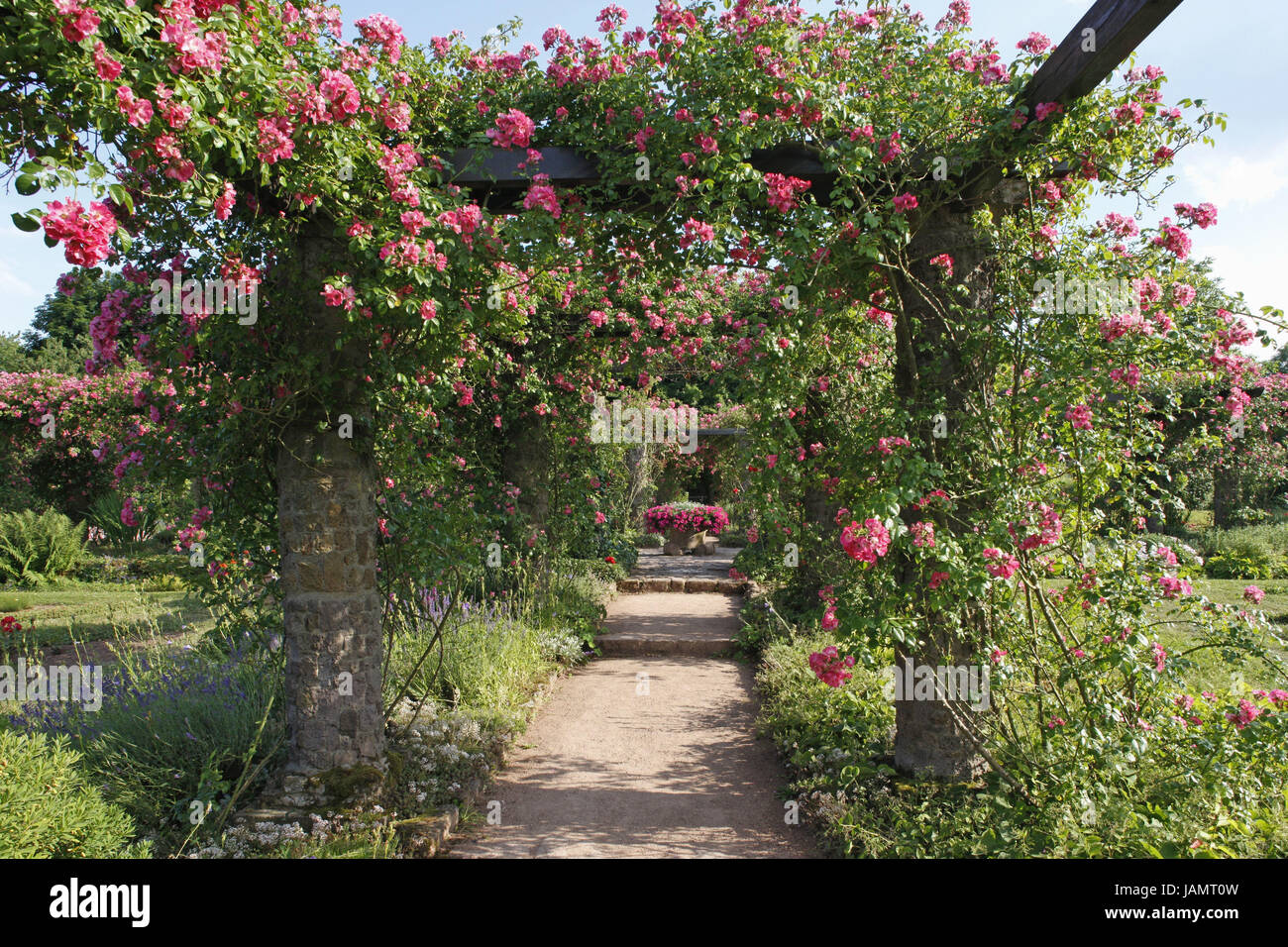 Germany,Hessen,Darmstadt,rose height,Rosarium,way,pergola,town,place of ...