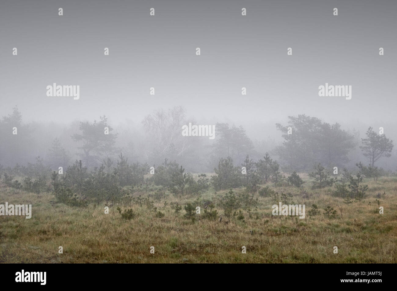 Lithuania klaipeda edge hi-res stock photography and images - Alamy