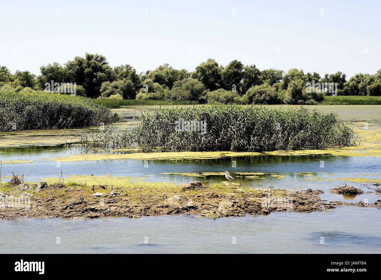 Romania,Danube delta,river,scenery,destination,tourism,water,nature ...