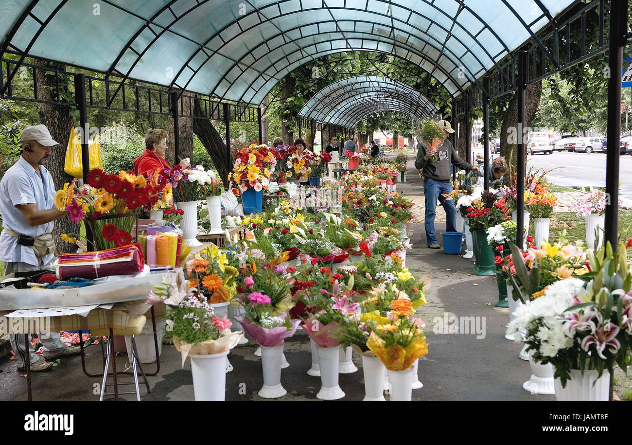 Romania,Satu Mare,flower market,detail,Transylvania,industrial centre ...