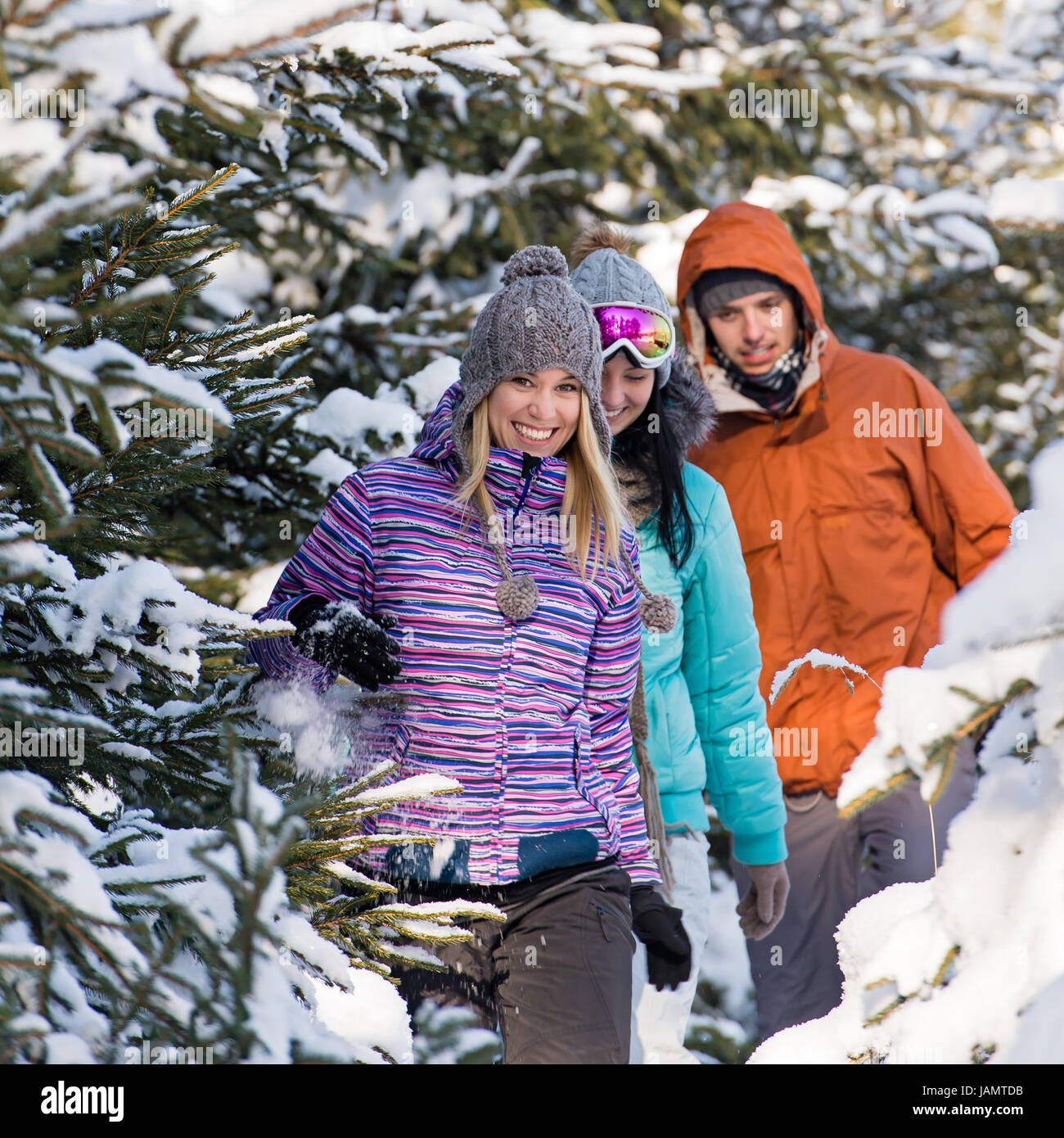 Three friends walking through snow winter forest Stock Photo - Alamy