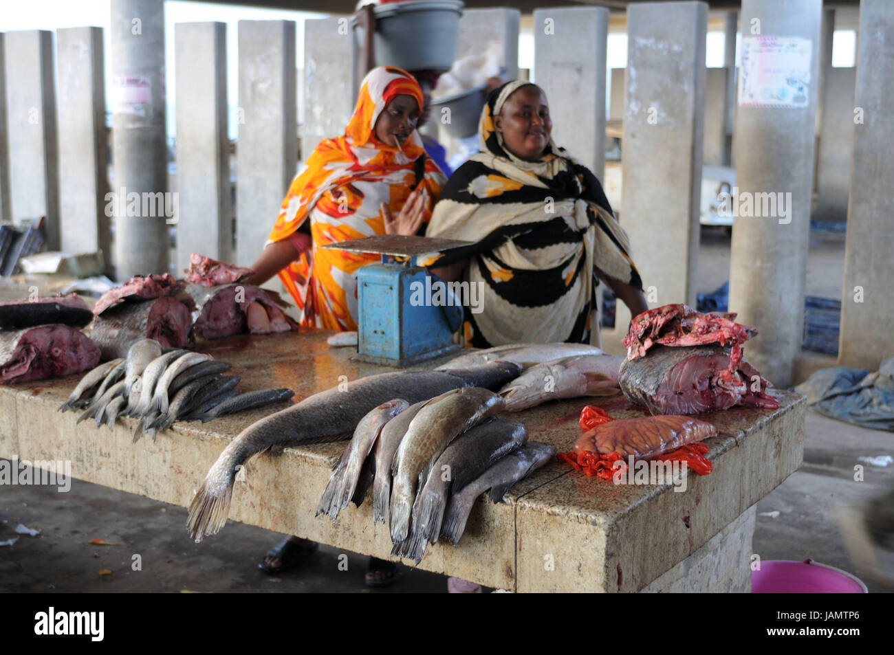 Mauritania,Nouakchott,fish market,women,scales,fish,no model release ...