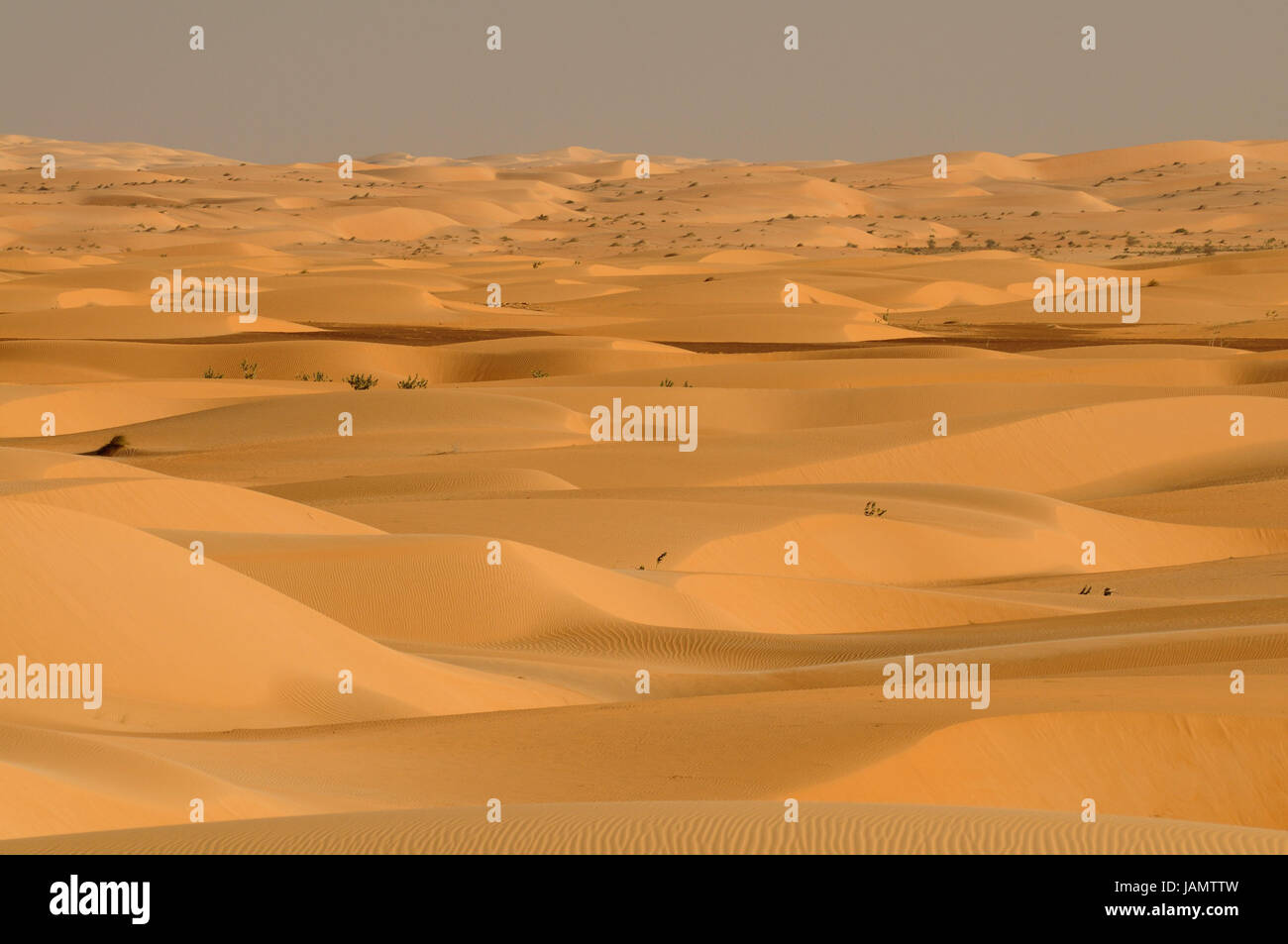 Mauritania,Adrar,Chinguetti,desert,Sand dunes,Africa,dunes,dune ...