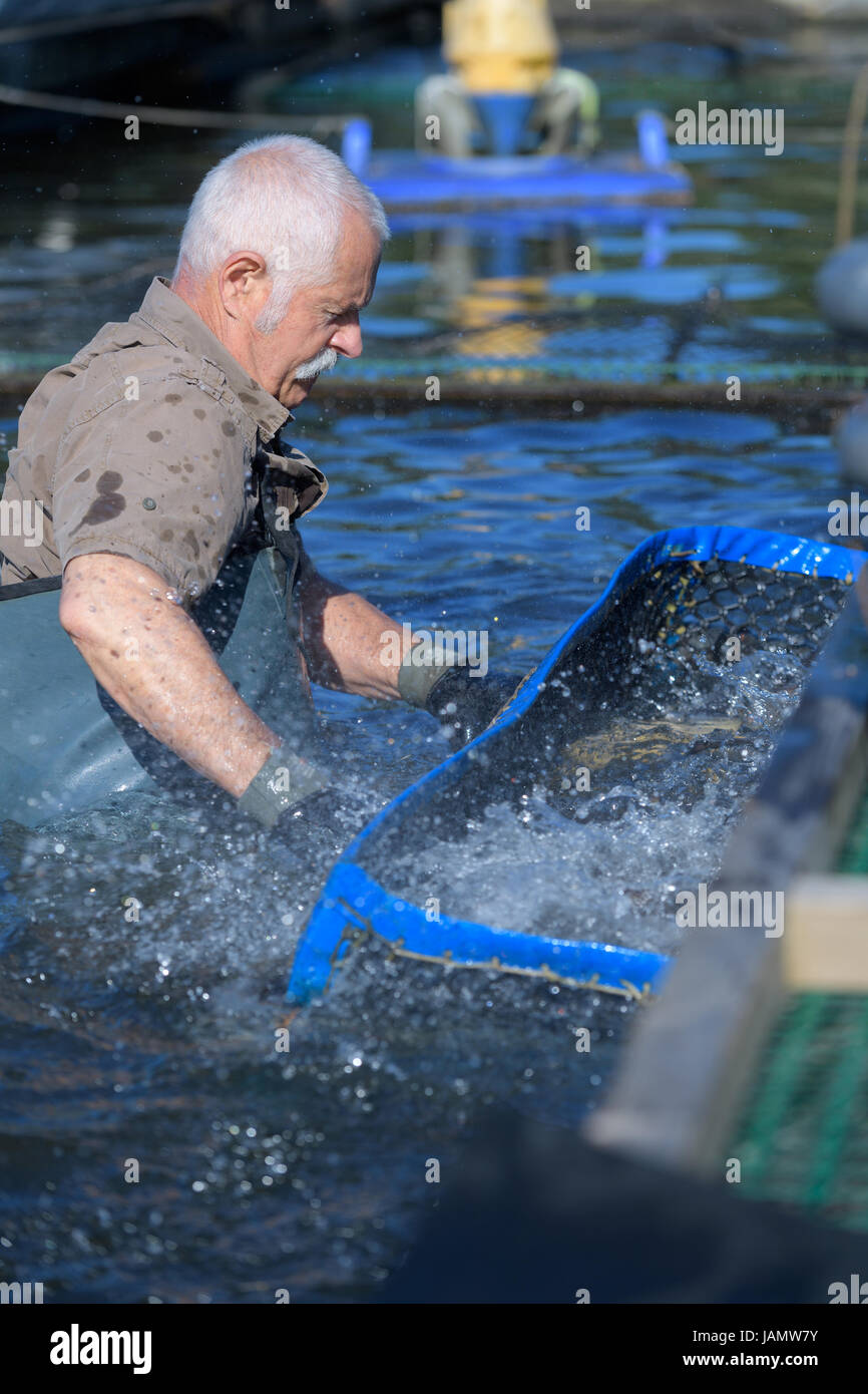 old man fish farming Stock Photo - Alamy