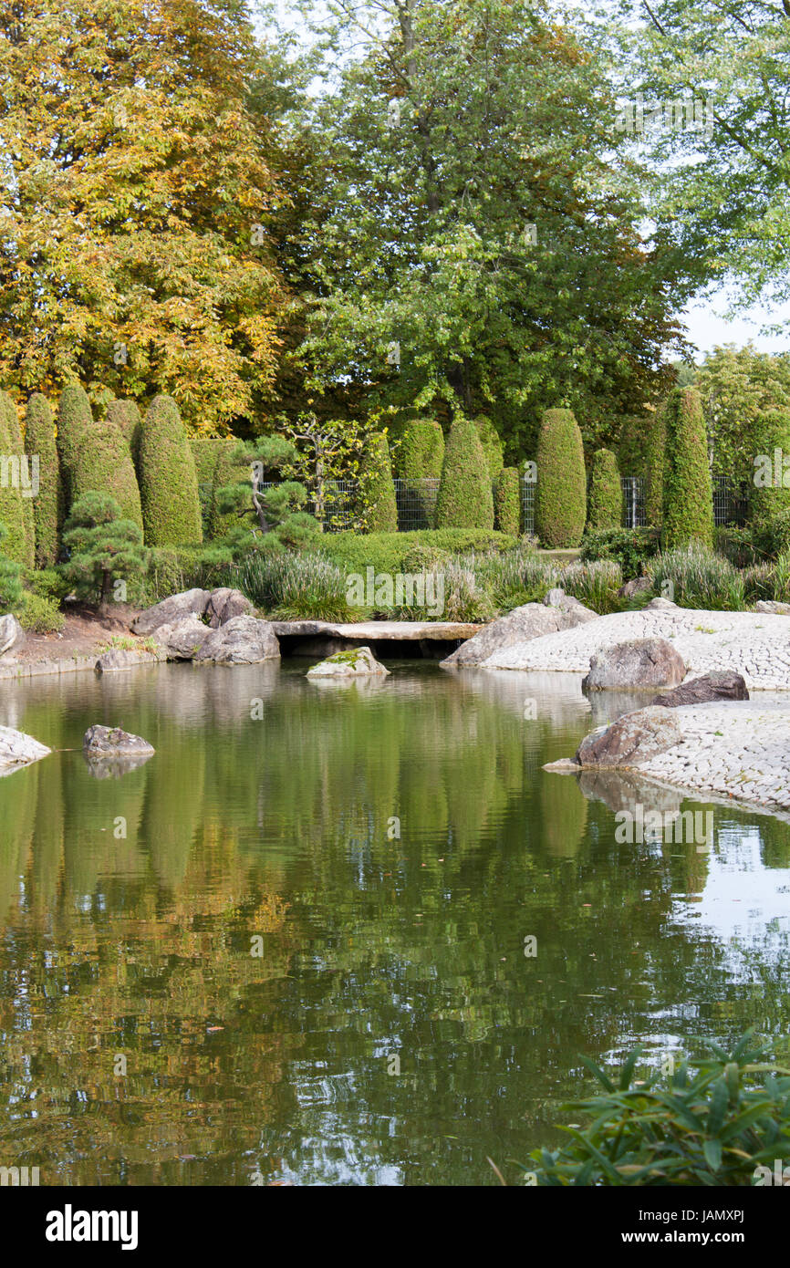 park pond in autumn Stock Photo - Alamy