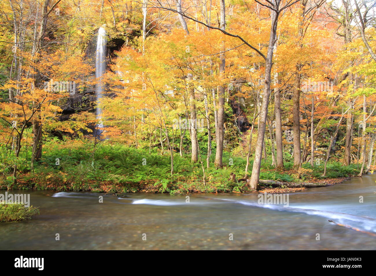 Oirase valley hi-res stock photography and images - Alamy