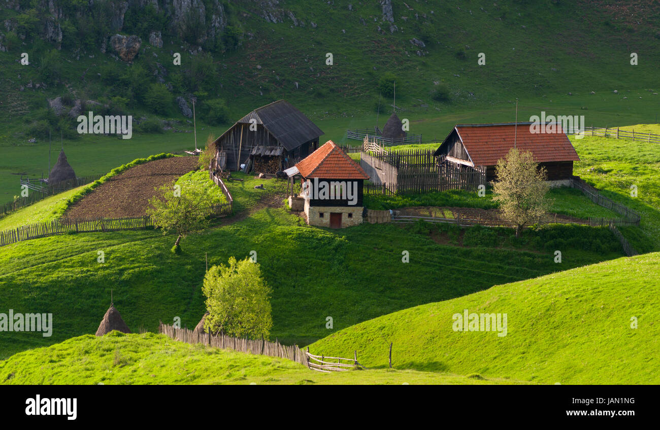 Rural landscape with house in summer sunrise light somewhere in ...