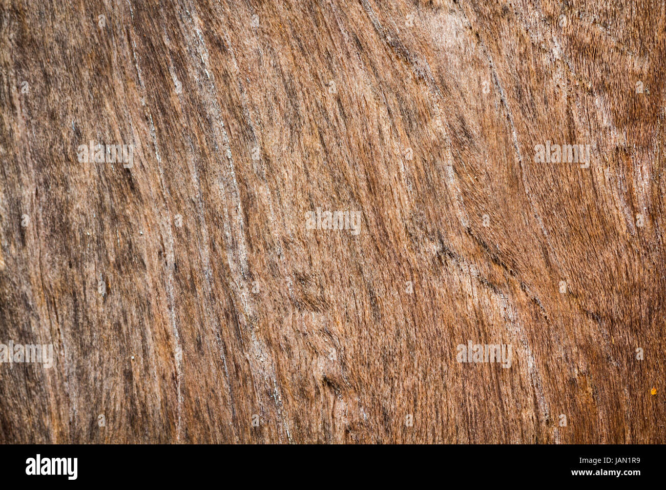 Abstract surface wood table texture background. Close up of dark rustic ...