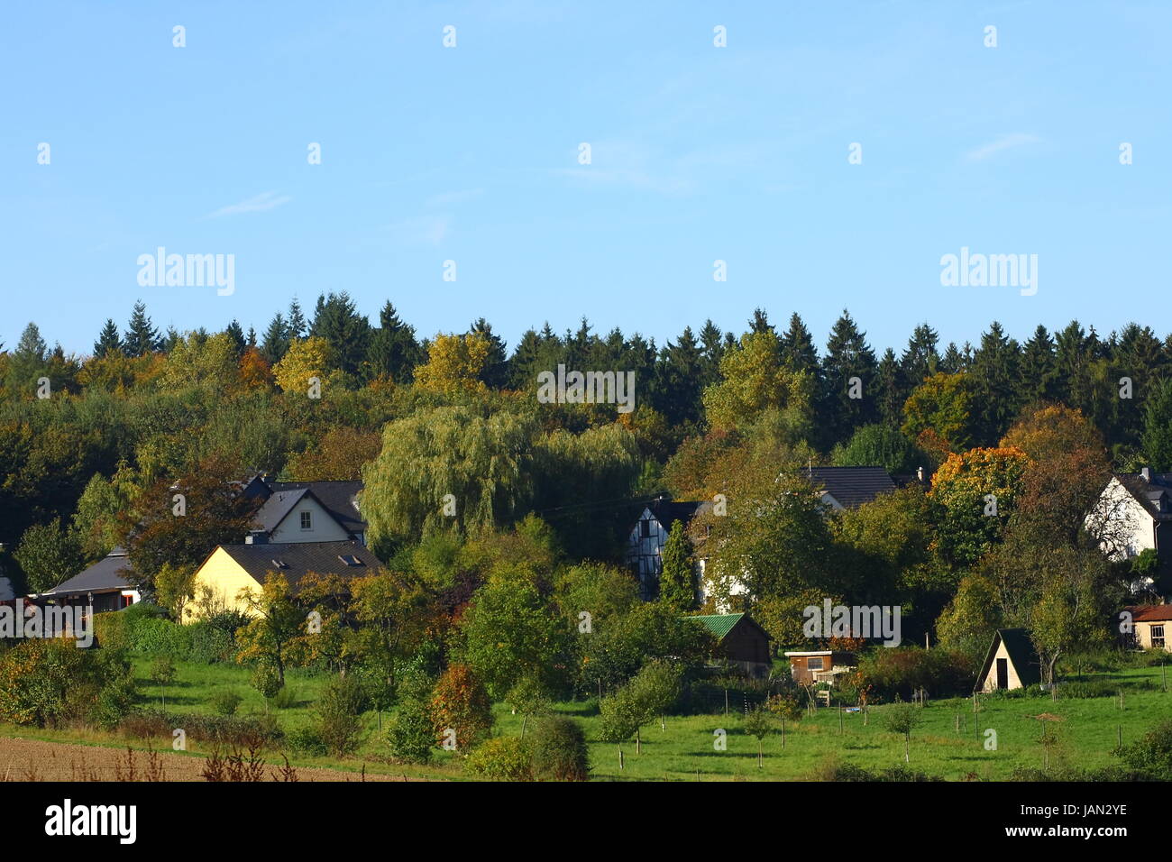 a small idyllic village in the forest ein kleines Dorf idyllisch im ...