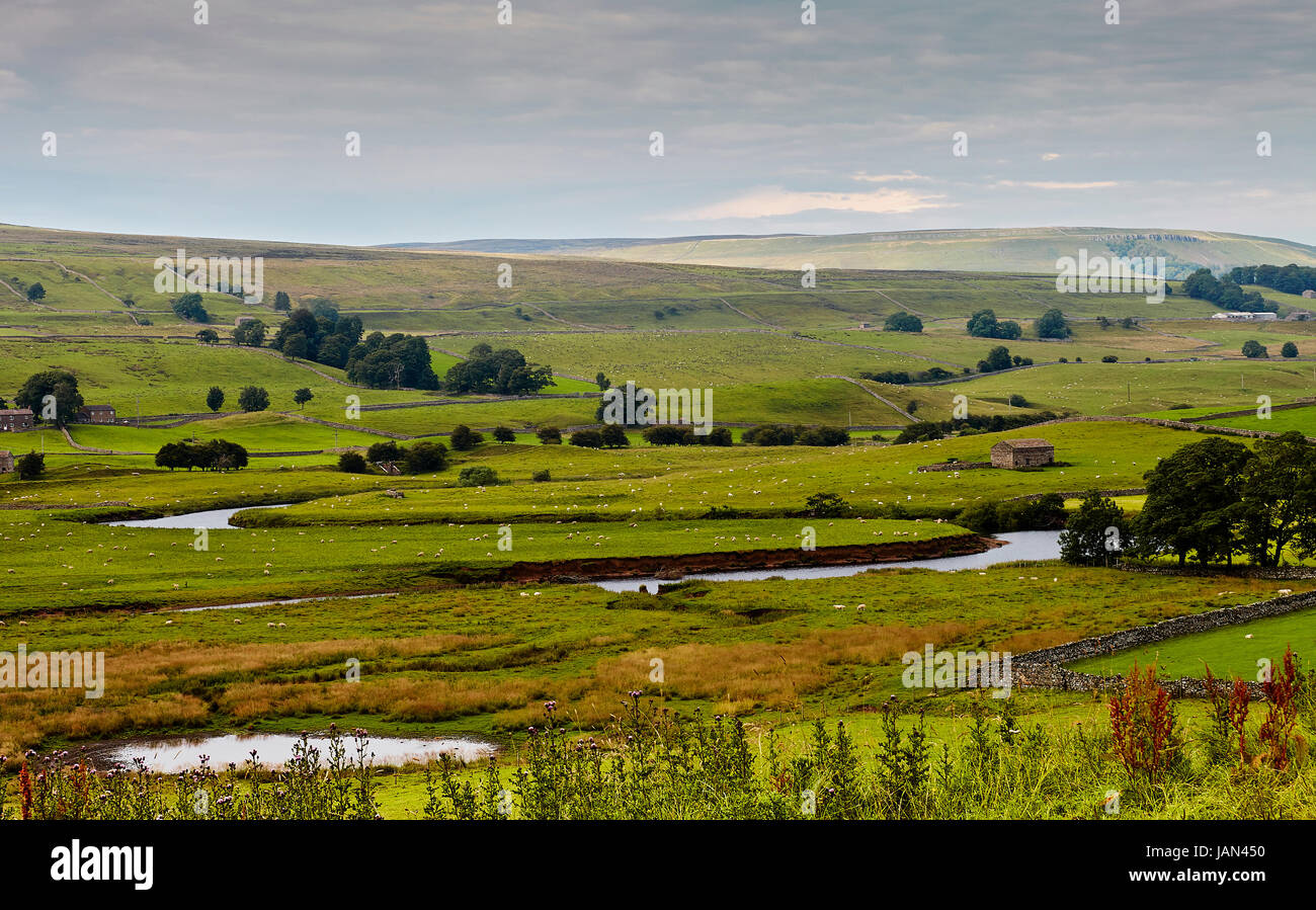 River Ure, Yorkshire Dales landscape summer views Stock Photo - Alamy