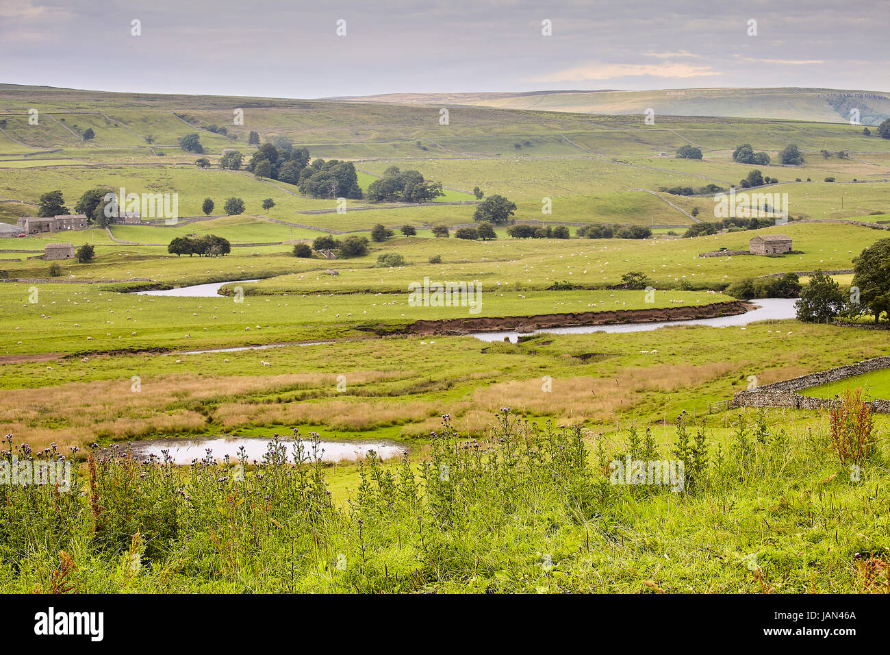 River Ure, Yorkshire Dales landscape summer views Stock Photo - Alamy