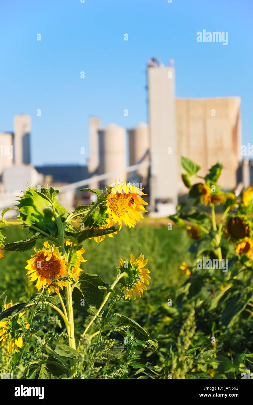 factory site in the landscape Stock Photo - Alamy