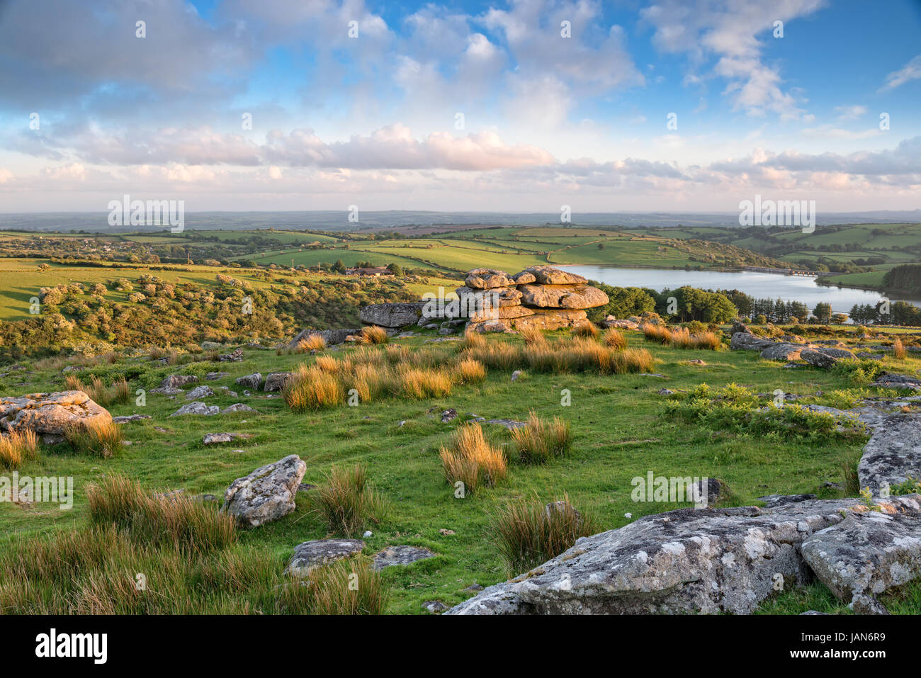 The view over Siblyback Lake from Tregarrick Tor on Bodmin Moor in ...