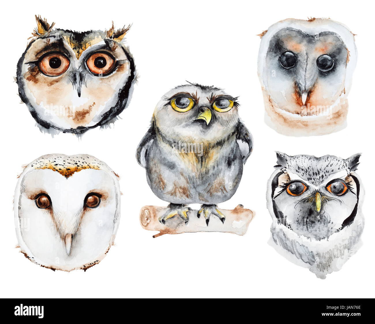 Watercolor owls set Stock Photo - Alamy