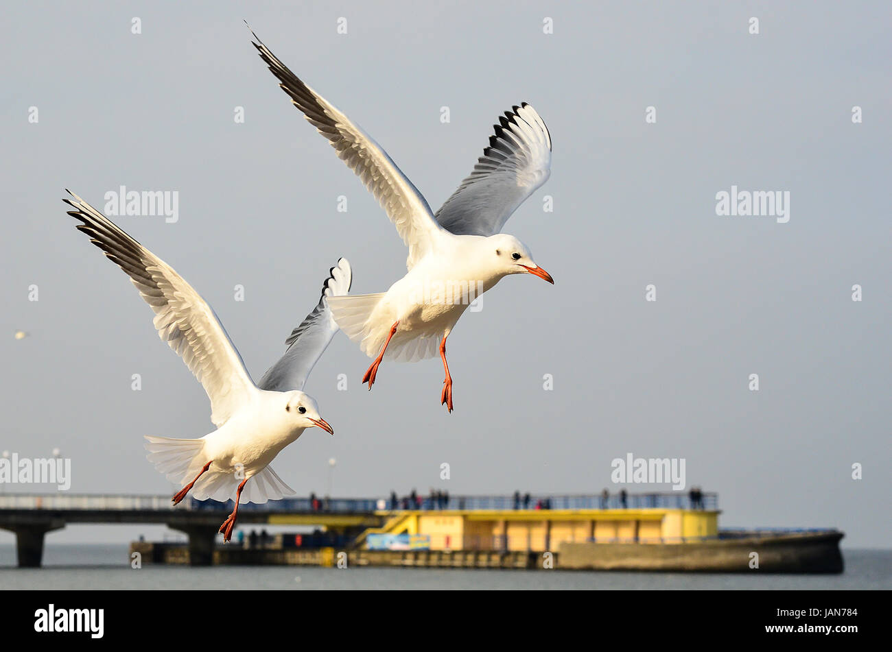 Abhebende hi-res stock photography and images - Alamy
