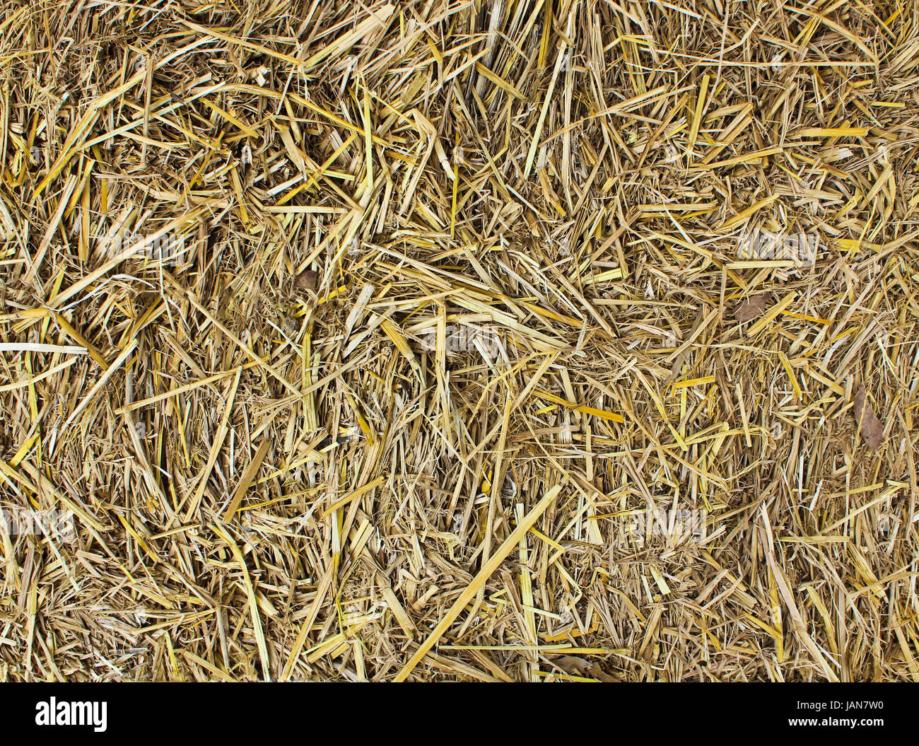 Hay seamless background Stock Photo - Alamy