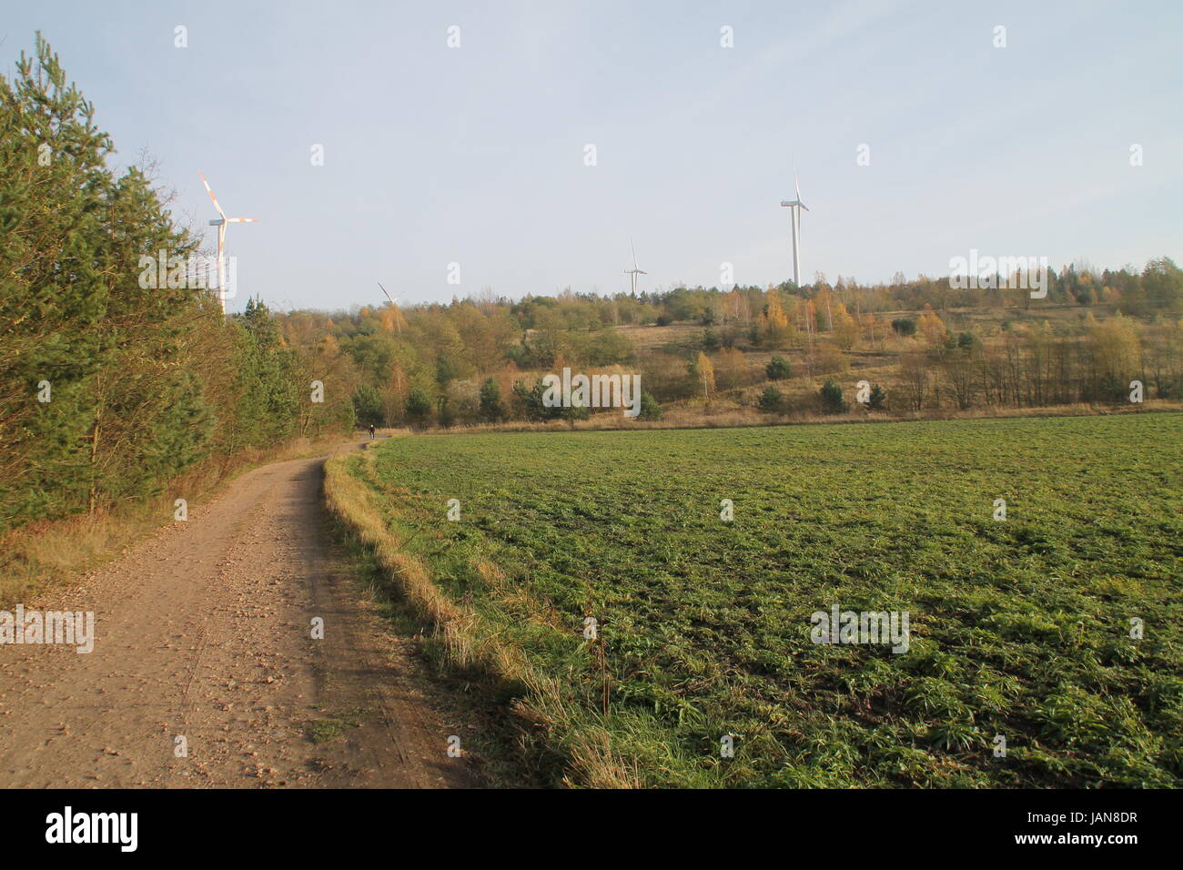 trees generation of electricity Stock Photo - Alamy