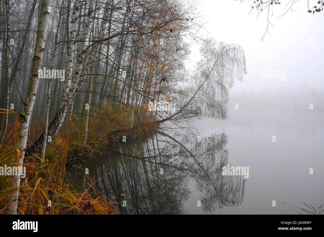 Sieve lake hi-res stock photography and images - Alamy