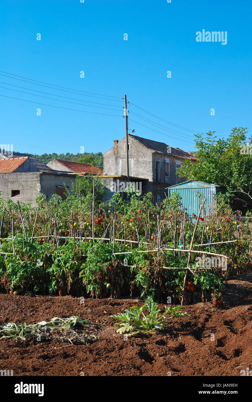 old farmhouse with vegetable garden in croatia Stock Photo - Alamy