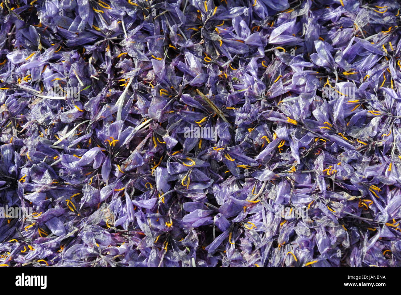 Arabischpersisch hi-res stock photography and images - Alamy