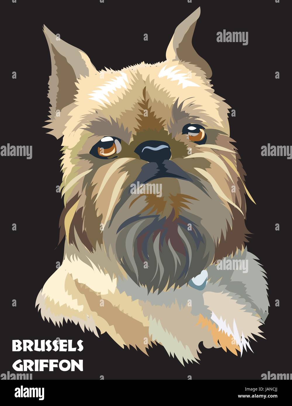 Colored brussels griffon vector isolated portrait on black background ...