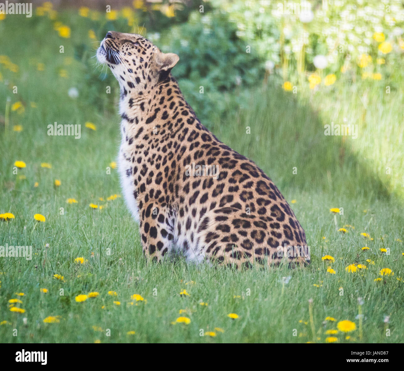 Sun image hi-res stock photography and images - Alamy