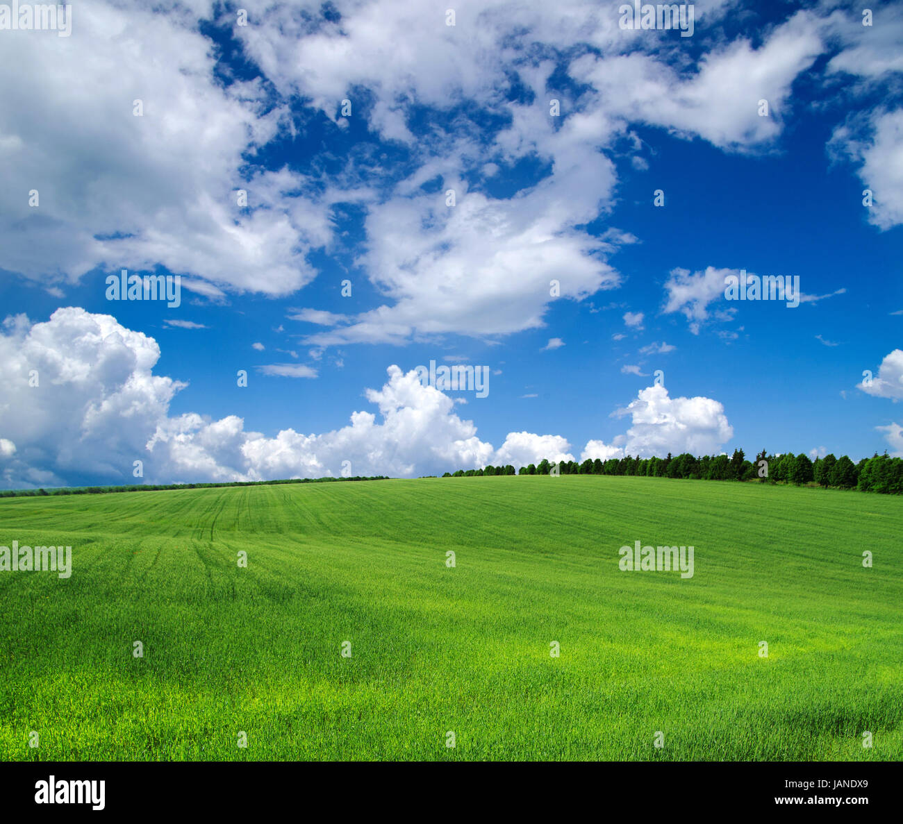 green field and blue sky Stock Photo - Alamy