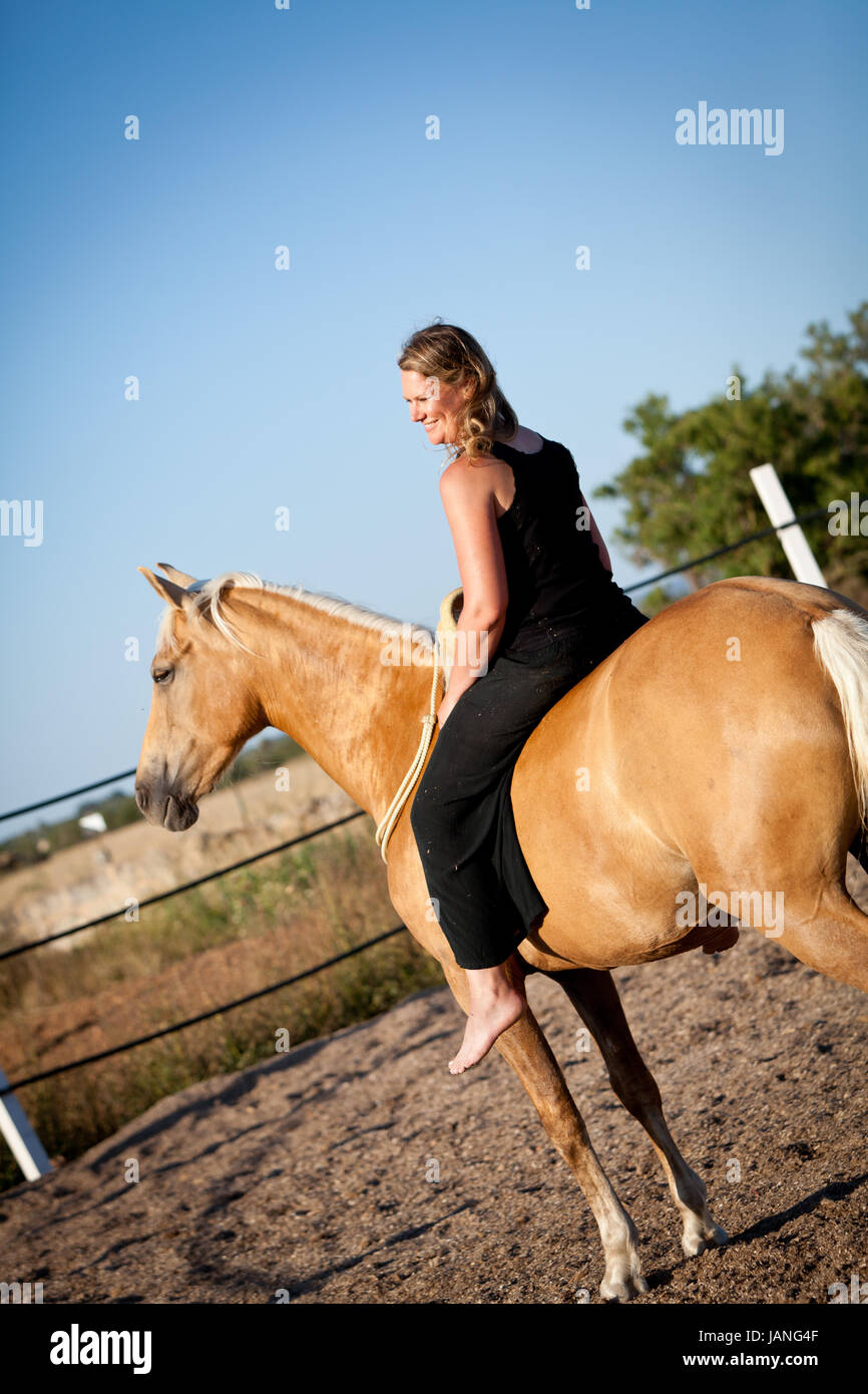 junge weibliche reiterin trainiert ihr pferd im freien im sommer ...