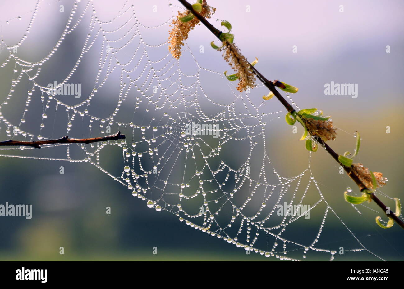 PM - ex! Stock Photo - Alamy