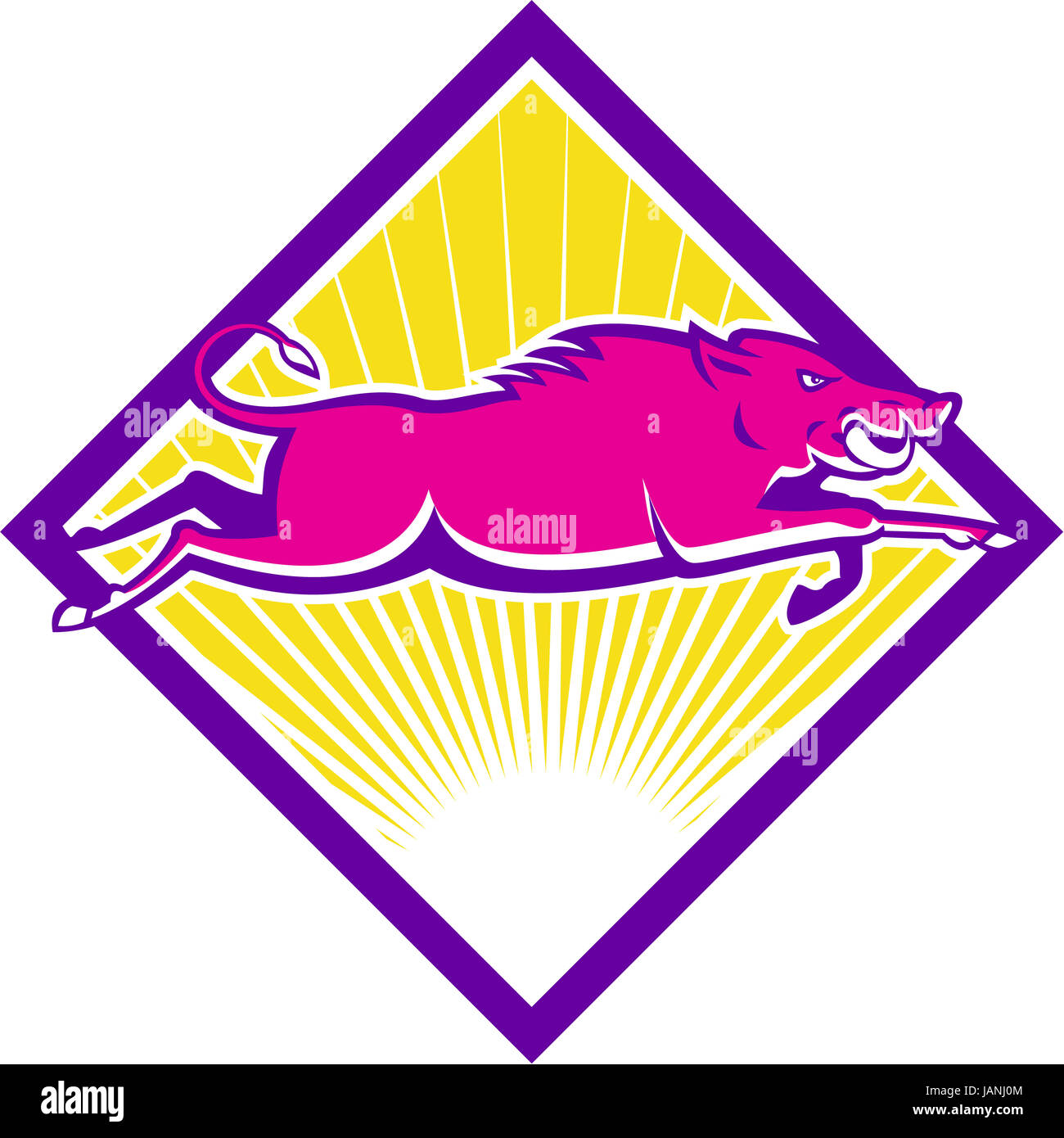 Illustration of a wild pig boar razorback jumping on isolated ...