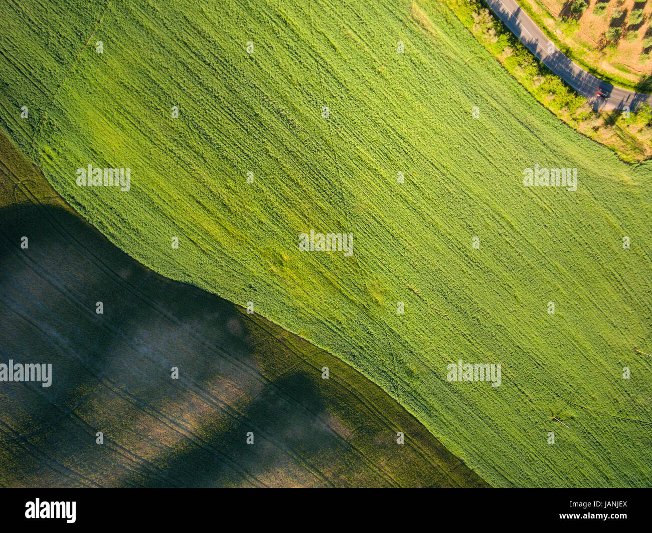 Aerial top view of a green field. Summer season Stock Photo - Alamy