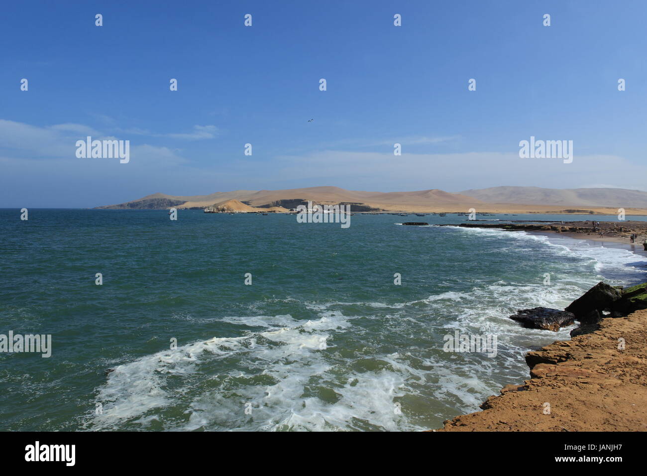paracas national park in peru Stock Photo - Alamy