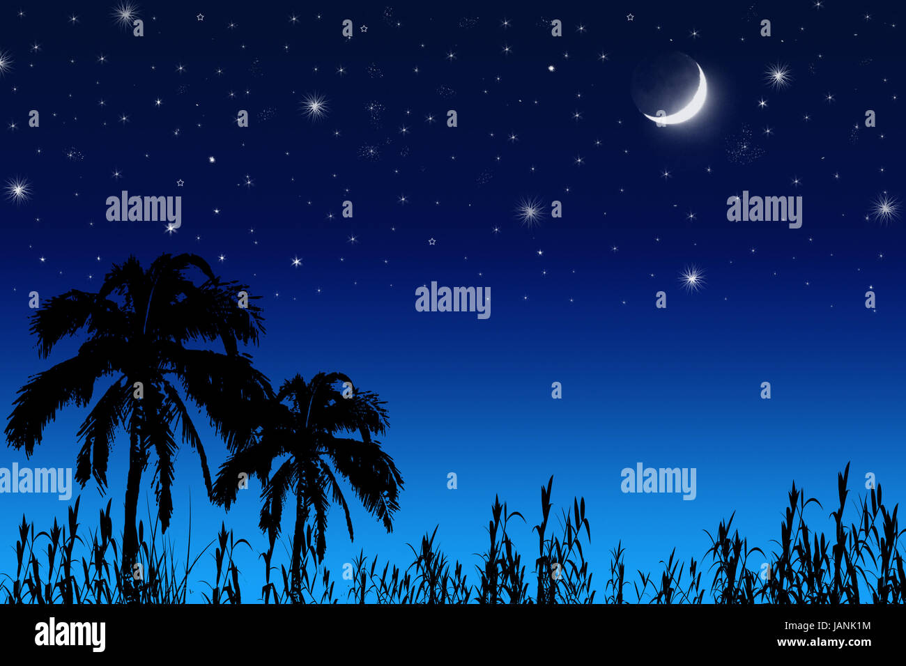 Coconut tree , moon and stars Stock Photo - Alamy