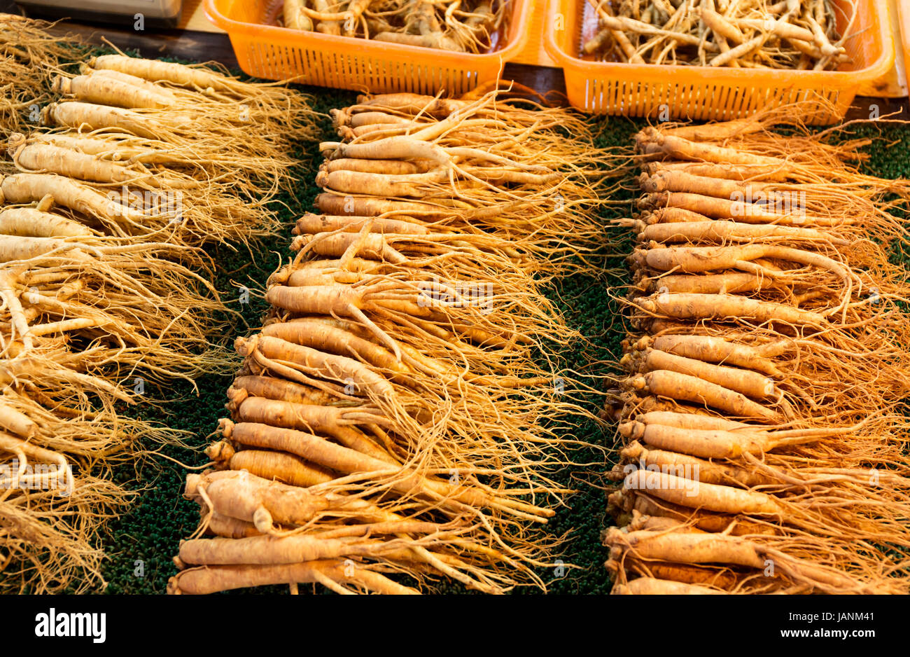 Fresh ginseng stick for sell Stock Photo - Alamy