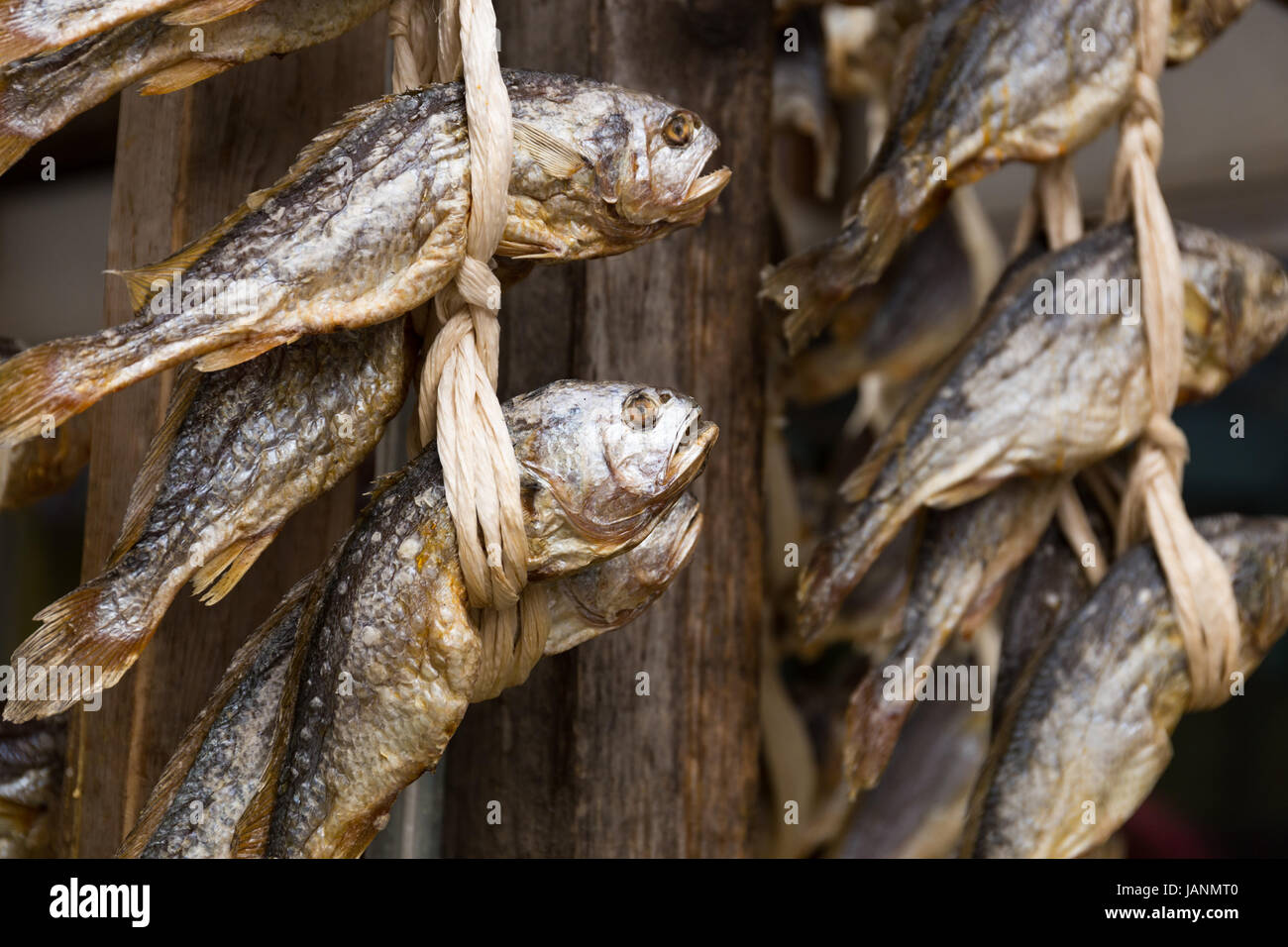 Kipper hanging hi-res stock photography and images - Alamy