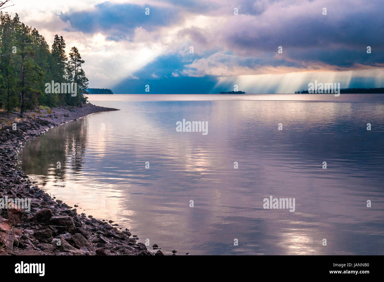 Rays of morning light illuminate Yellowstone Lake Stock Photo - Alamy