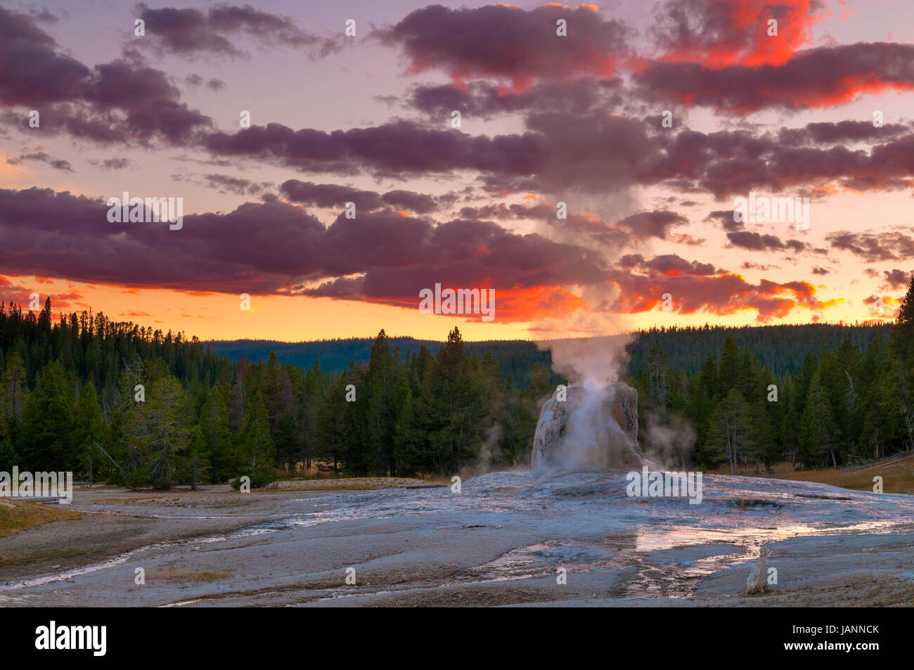 Spectacular Lone Star Geyser during Eruption - Yellowstone Stock Photo ...