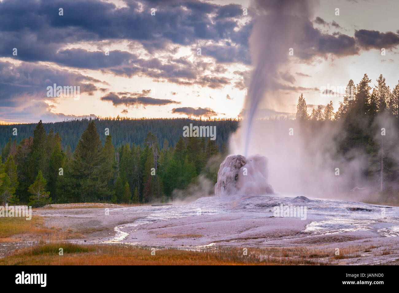 Spectacular Lone Star Geyser during Eruption - Yellowstone Stock Photo ...