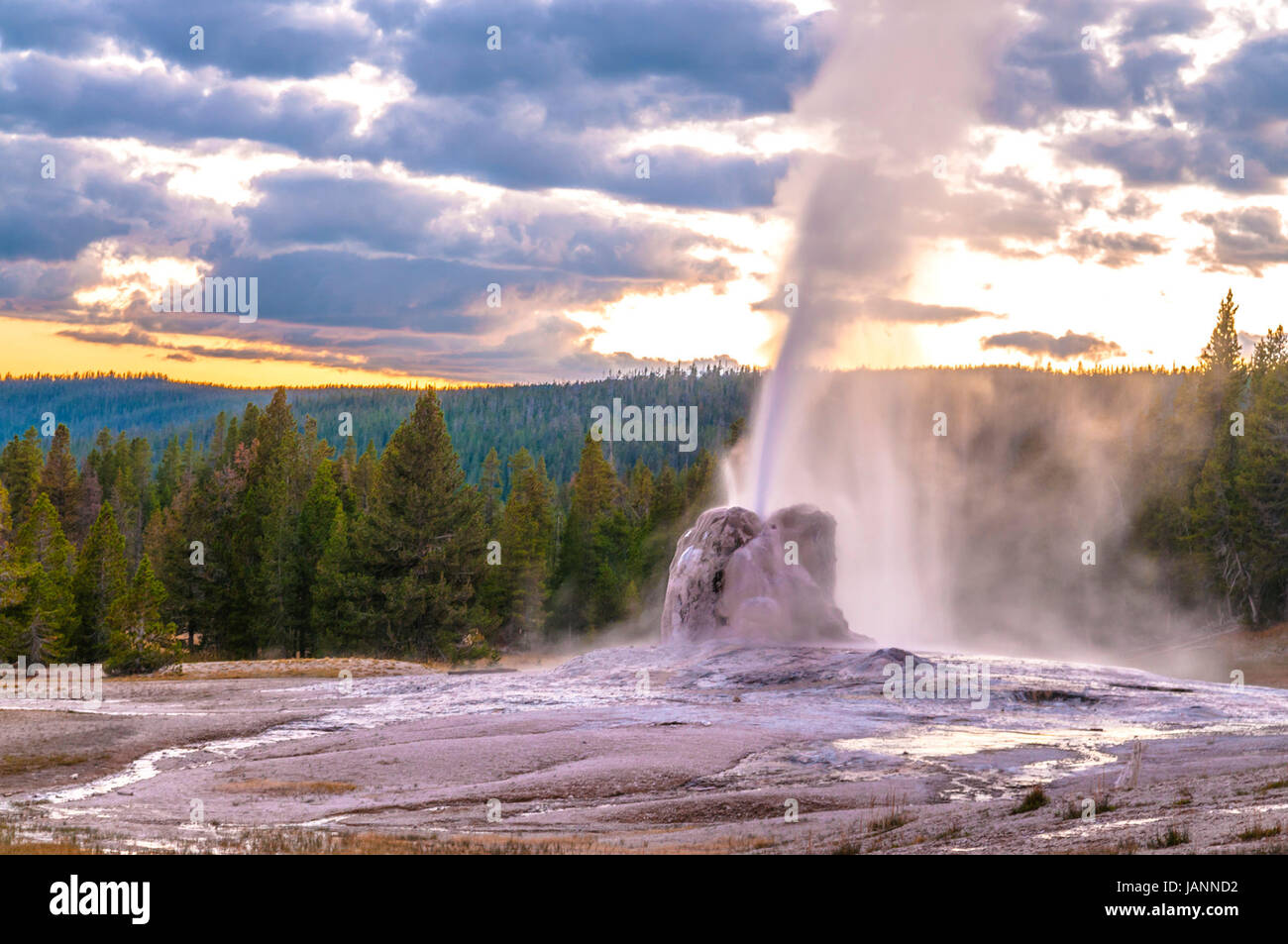 Spectacular Lone Star Geyser during Eruption - Yellowstone Stock Photo ...