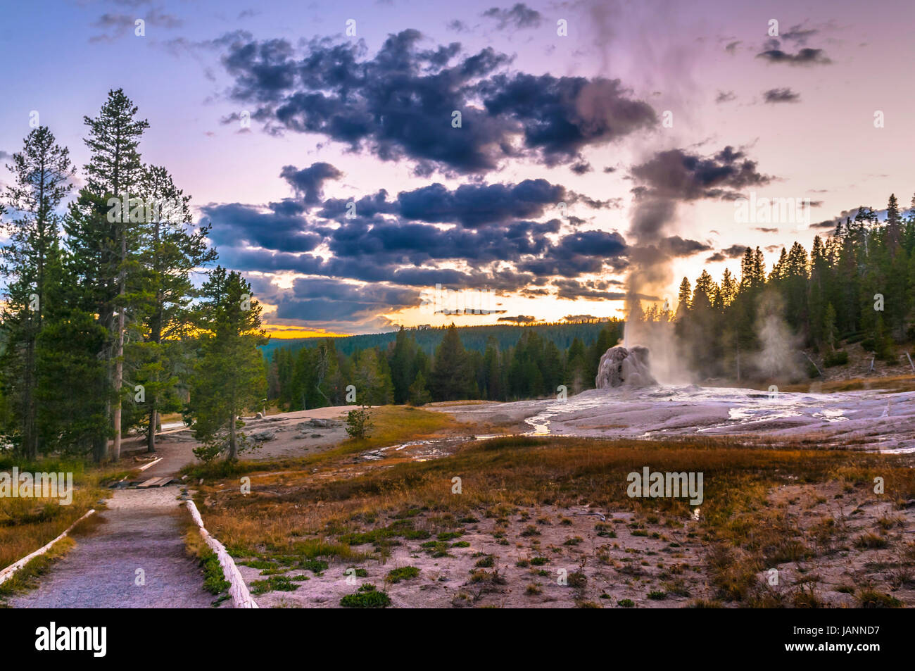 Spectacular Lone Star Geyser during Eruption - Yellowstone Stock Photo ...
