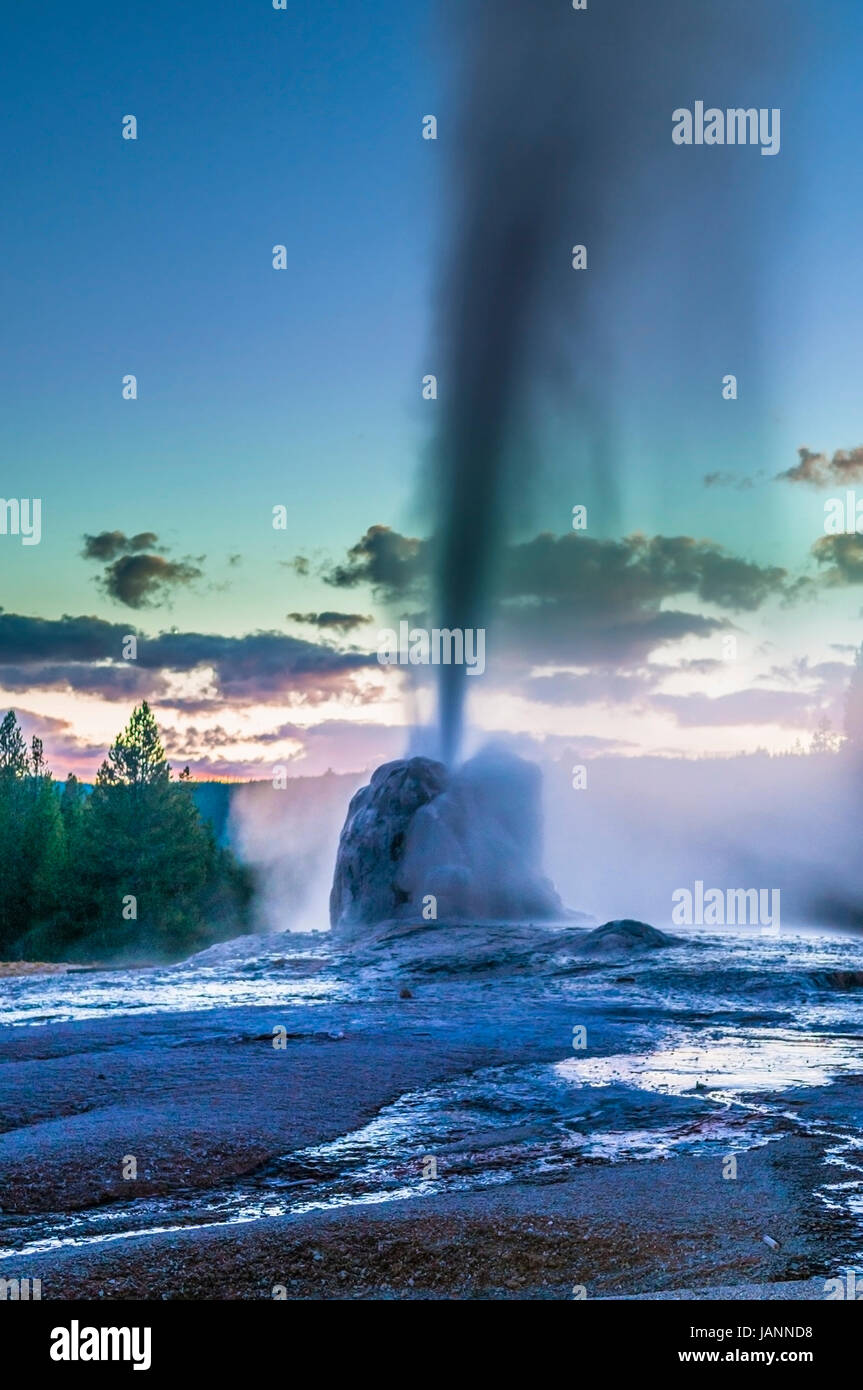 Spectacular Lone Star Geyser during Eruption - Yellowstone Stock Photo ...
